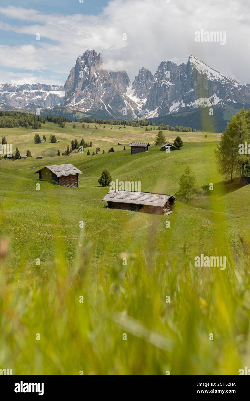 Amazing scenery of small settlement with houses located in green meadow ...