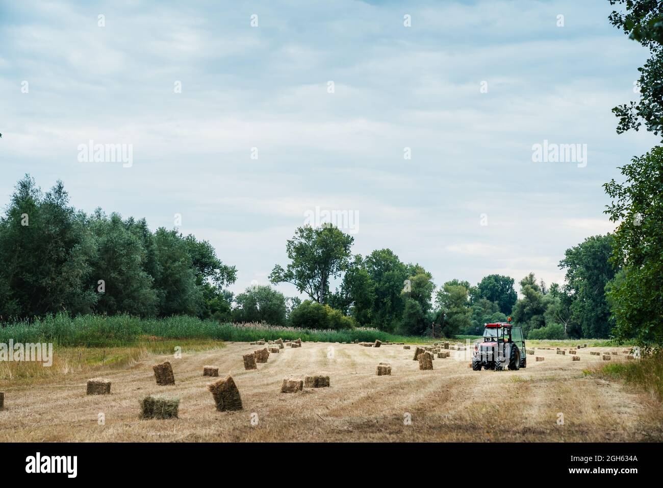 Modern tractor driving through cultivated field with haystacks near ...
