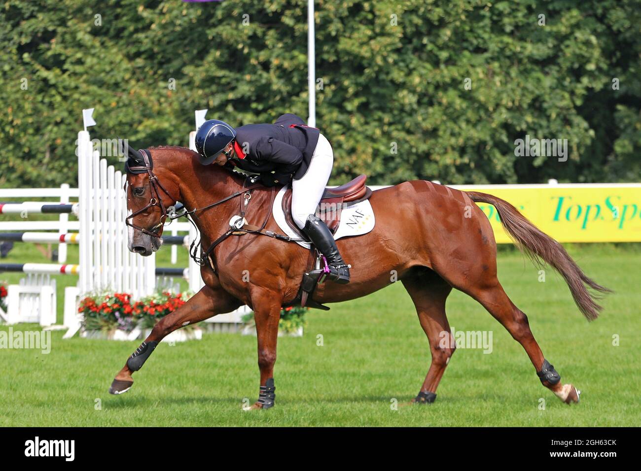 Bicton horse hi-res stock photography and images - Alamy