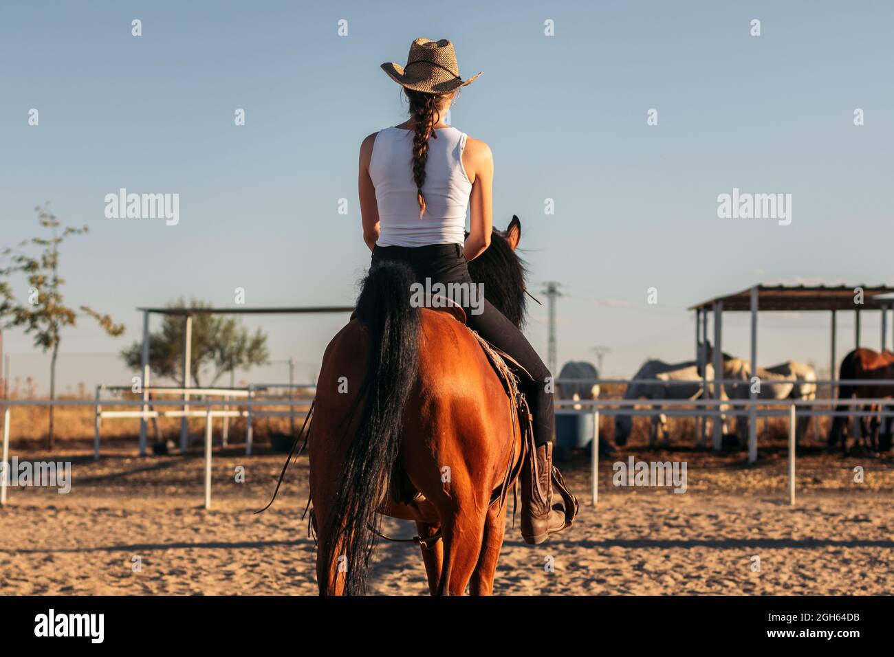 Woman Riding Horse Back View Hat High Resolution Stock Photography and ...