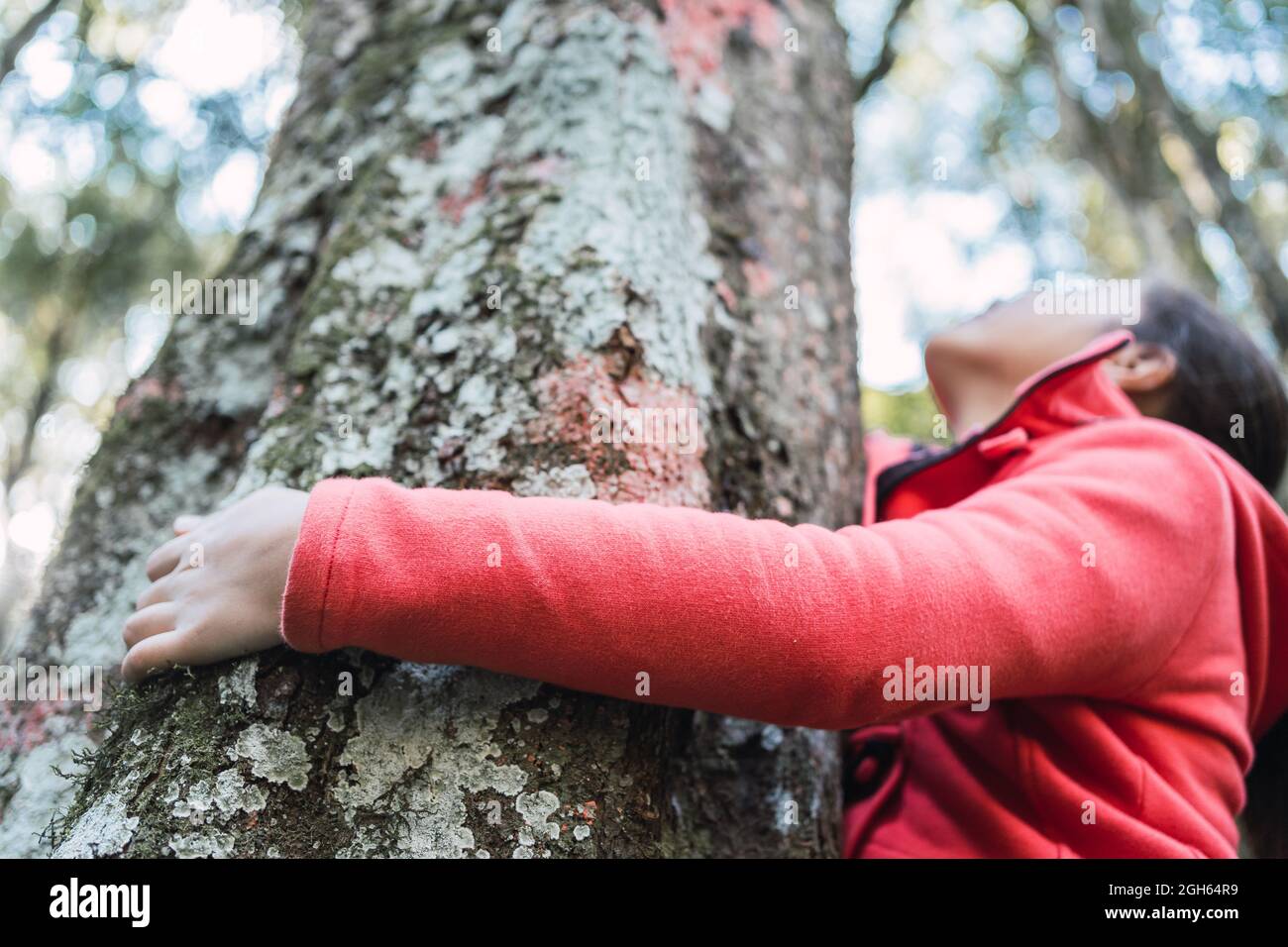 From below of charming ethnic child touching rough bark of aged tree ...