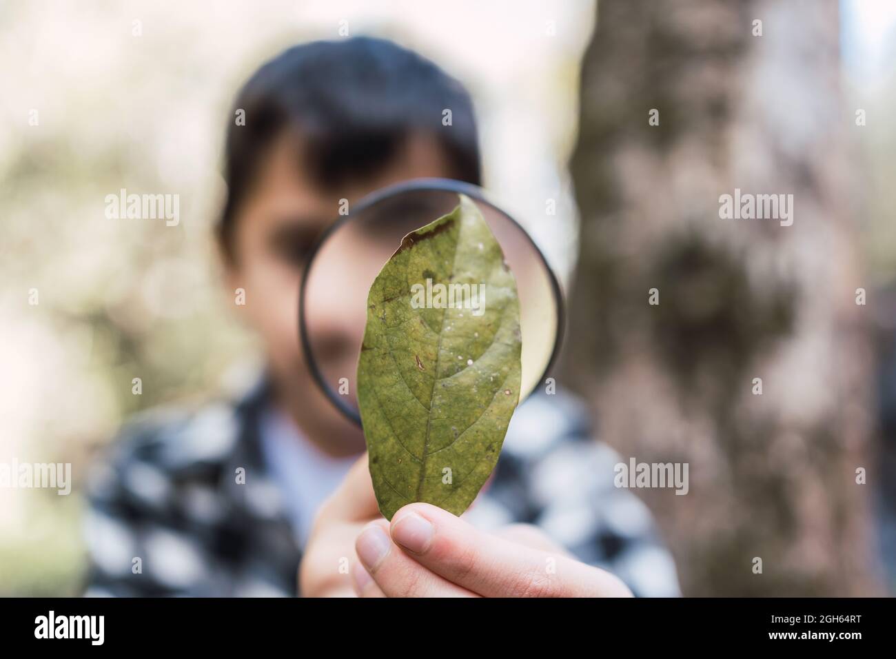 Anonymous focused child with green plant leaf looking through ...