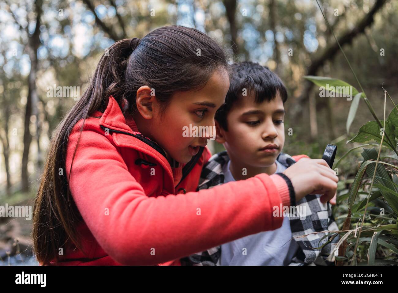 Ethnic child with magnifying glass demonstrating fern plant to sibling ...