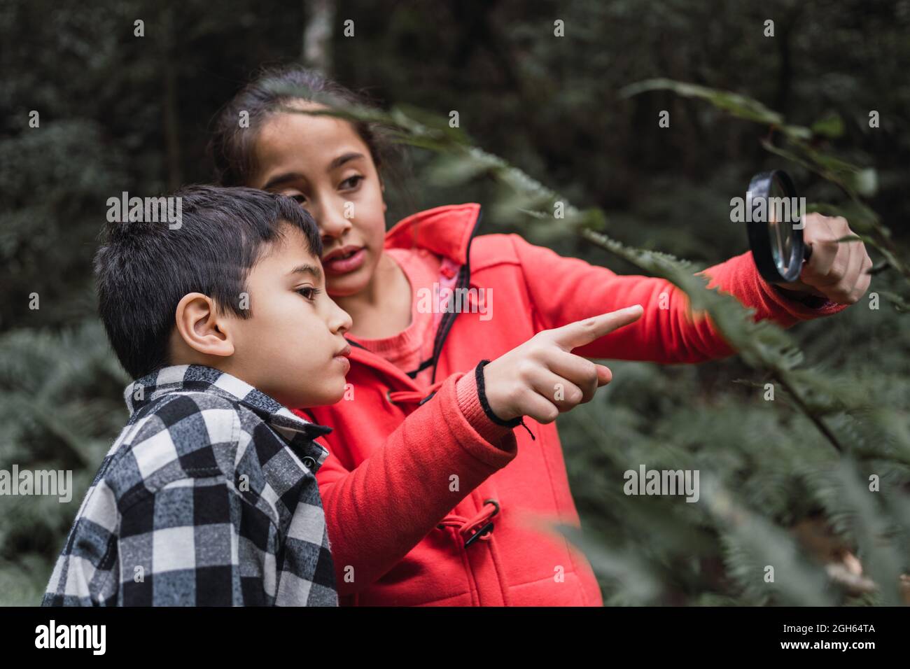 Ethnic child with magnifying glass demonstrating fern plant to sibling ...
