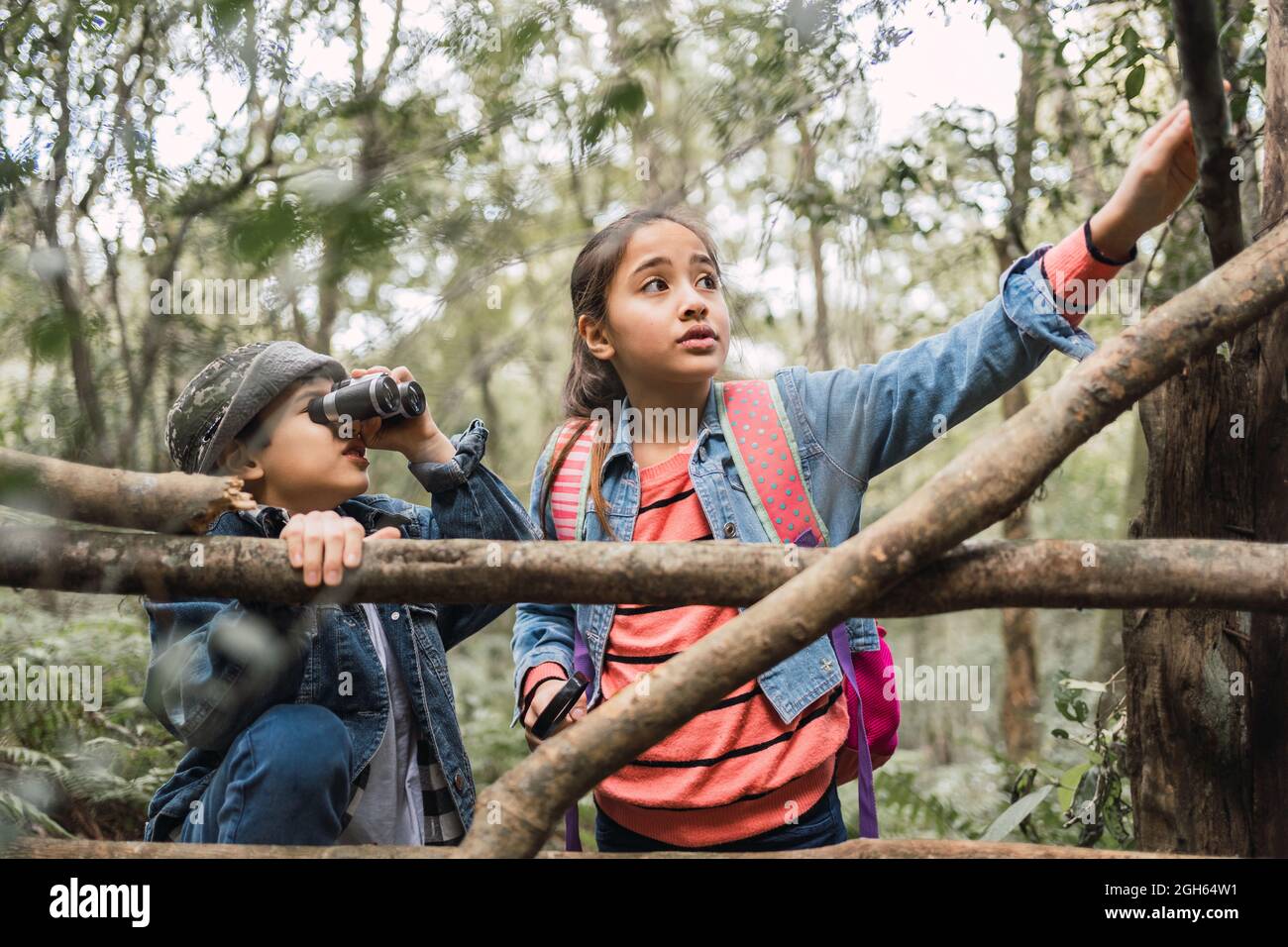 Ethnic child talking to sibling looking through binoculars against tree ...