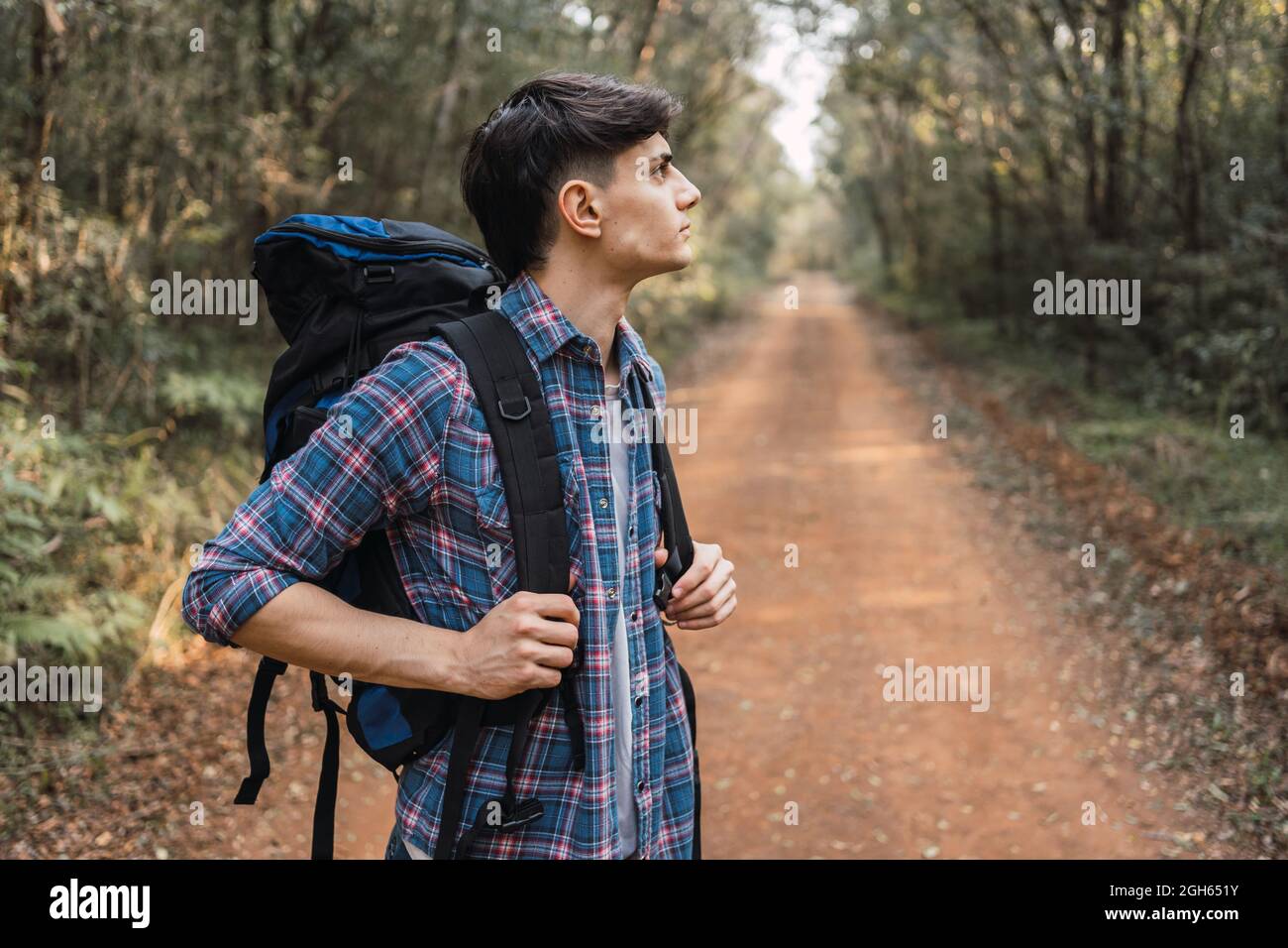 Male explorer with backpack walking on sandy path in forest during ...