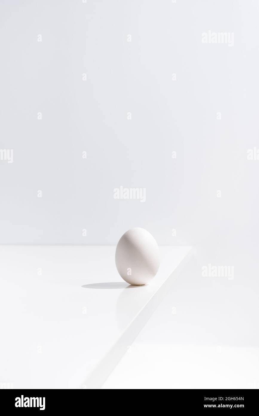 Fresh egg placed on table on white background in studio in minimal ...