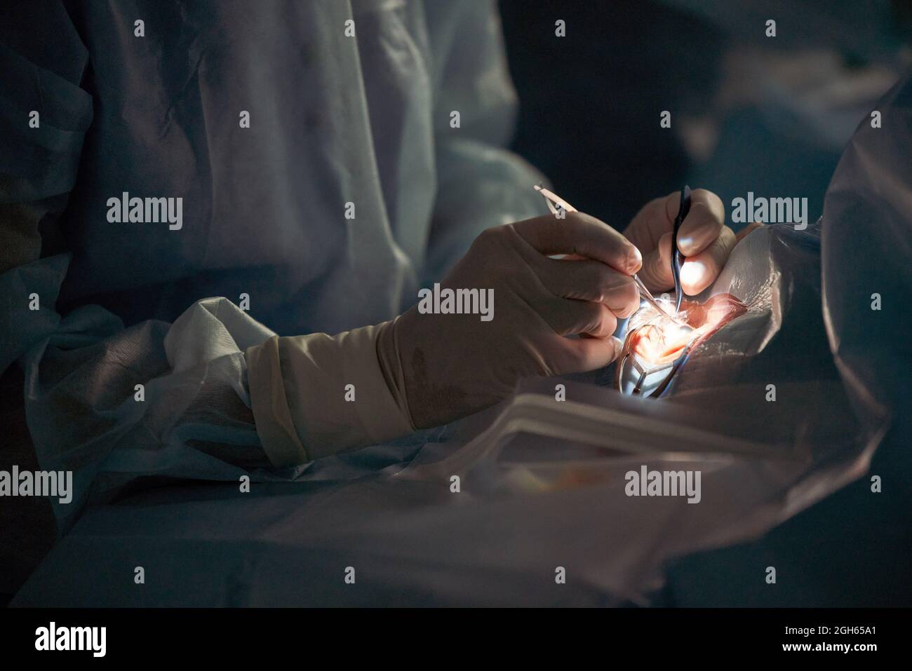 Crop unrecognizable doctor in uniform with syringe injecting medicine ...