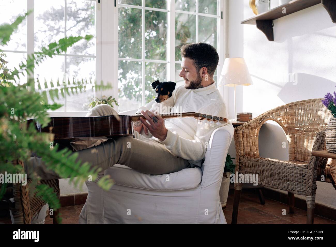 Classical music dog hi-res stock photography and images - Alamy