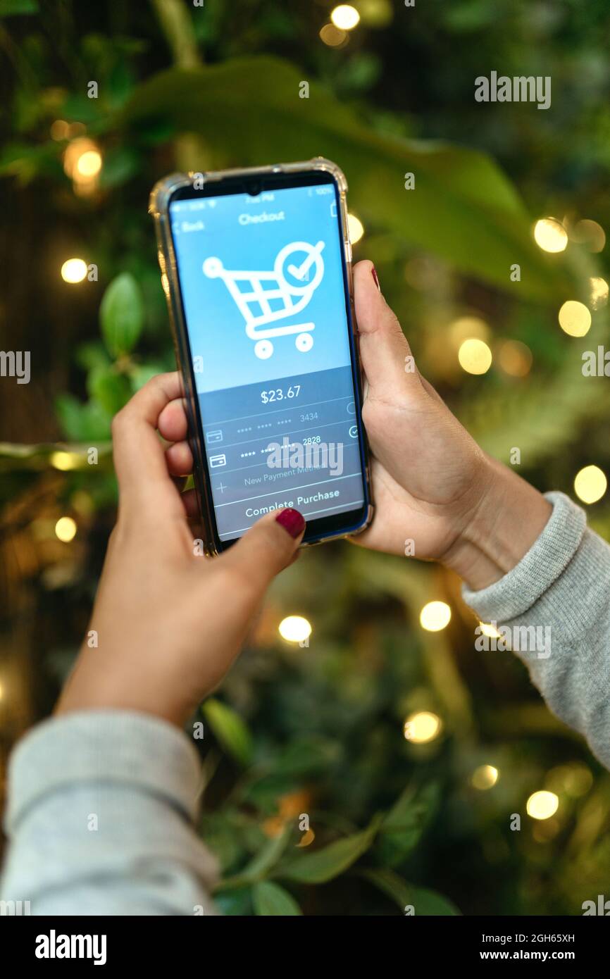 Female making online shopping using hi-res stock photography and images ...