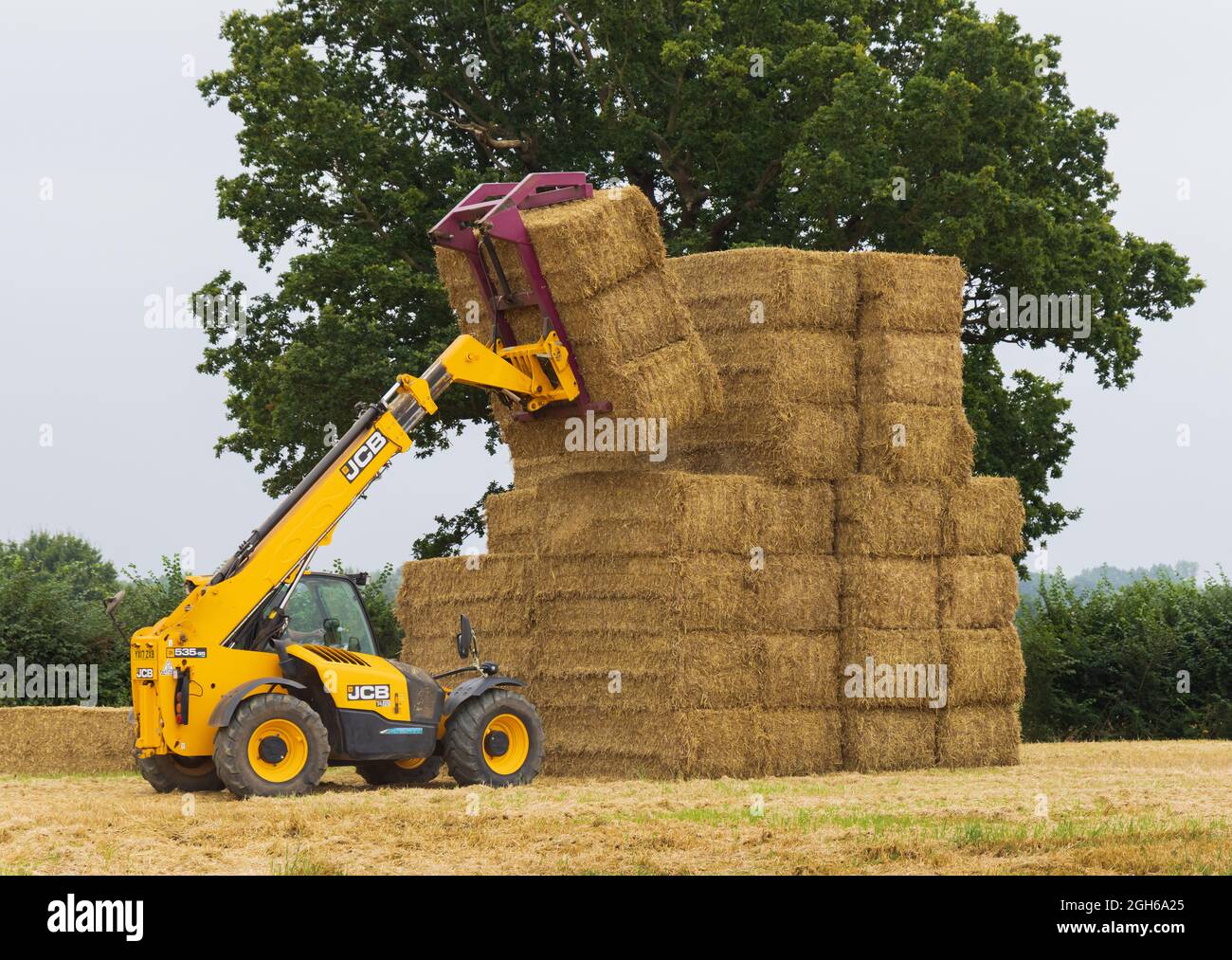 Man using a telehandler to load bales of straw onto a tractor trailer ...