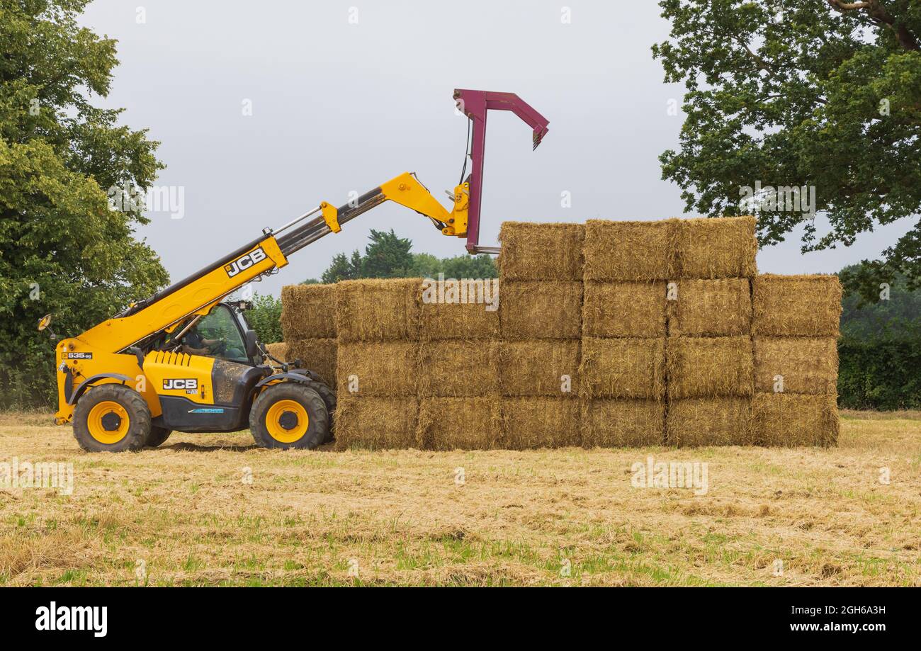 Jcb telehandler hi-res stock photography and images - Alamy
