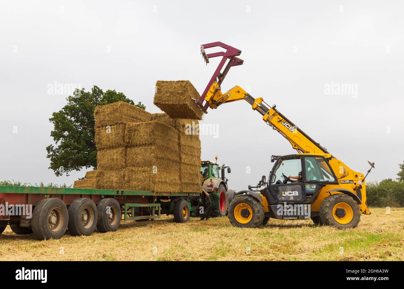 Man using a telehandler to load bales of straw onto a tractor trailer ...