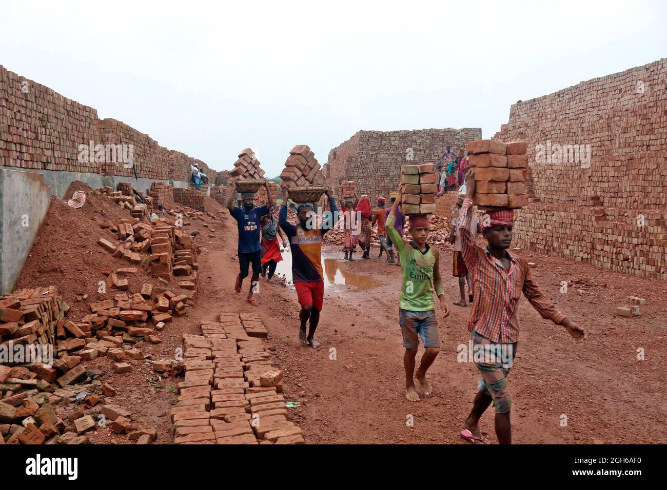 A Bangladeshi migrant holds bricks blocks over his head to transport it ...