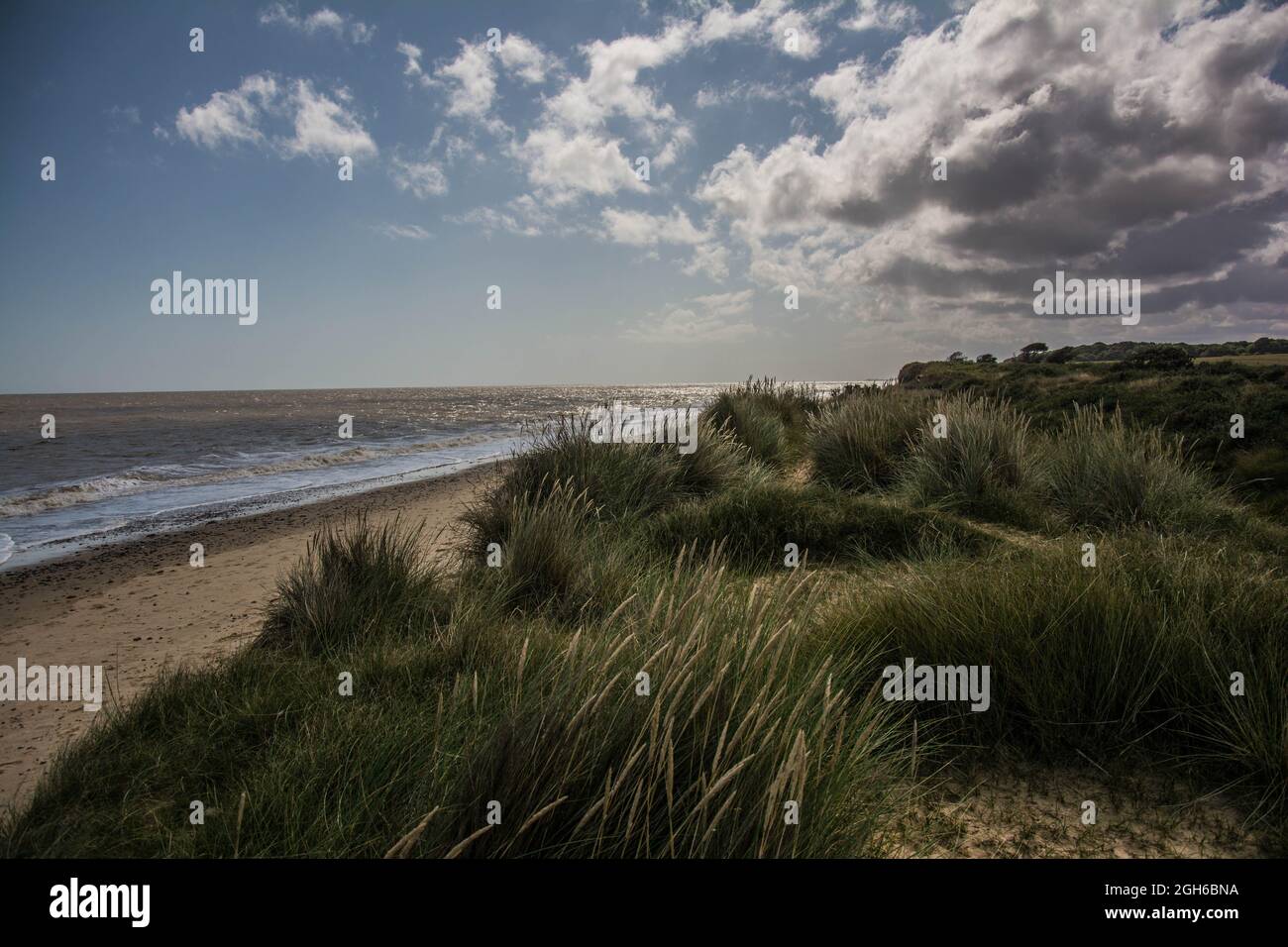 Covethive hi-res stock photography and images - Alamy