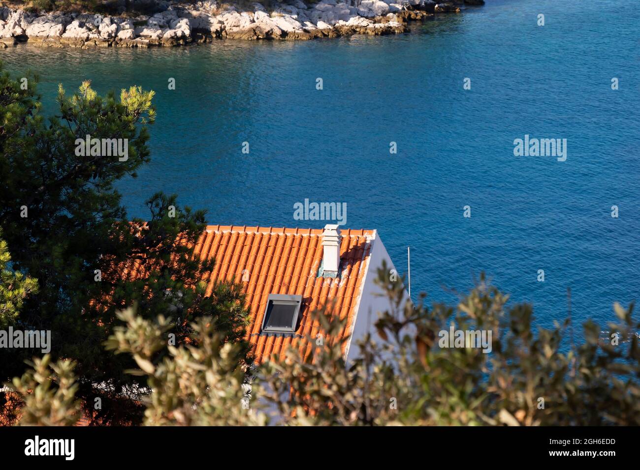 A hidden house by the sea roof top with a window, through pine trees ...