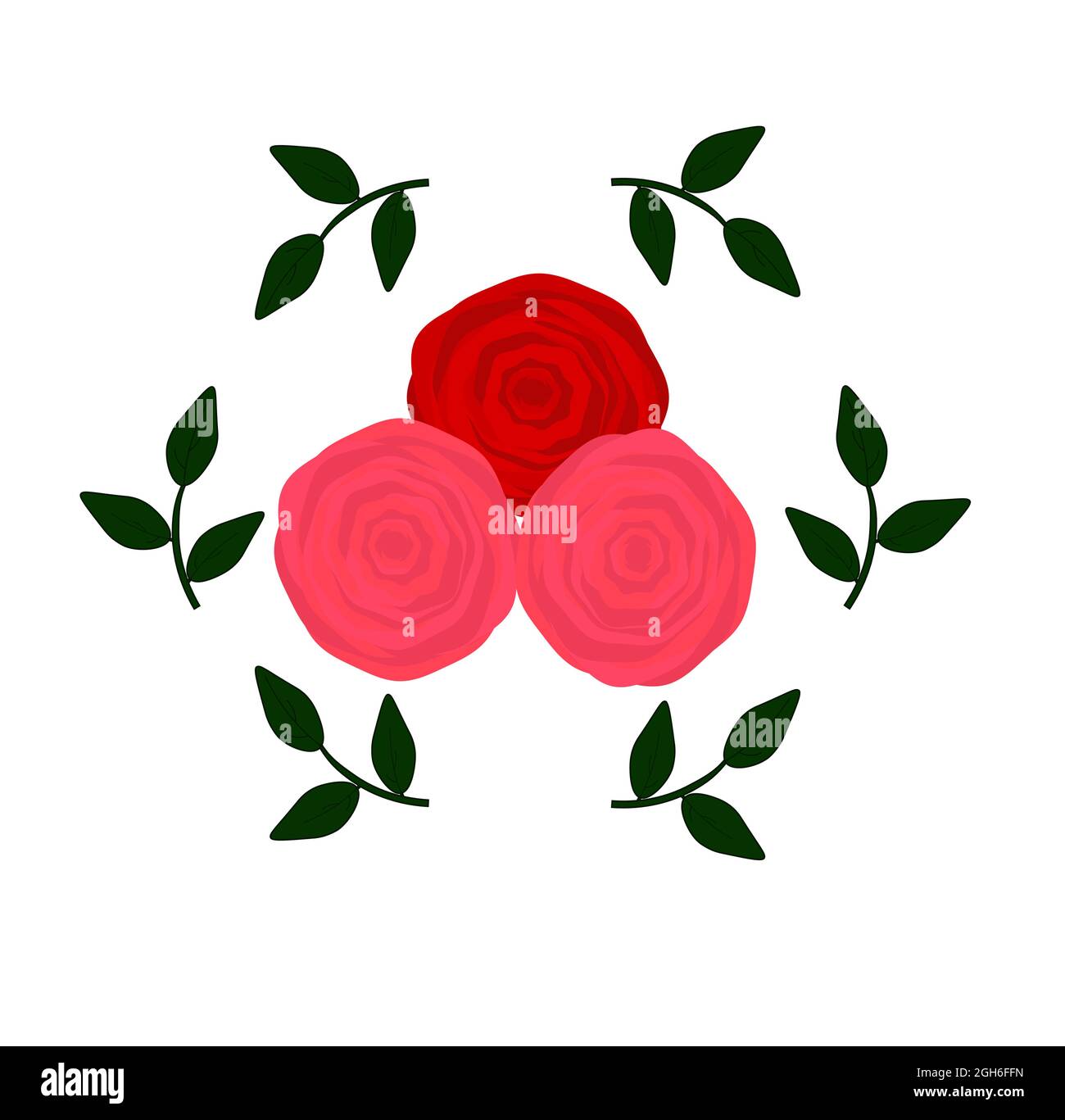 illustration of three roses on a white background Stock Vector Image ...