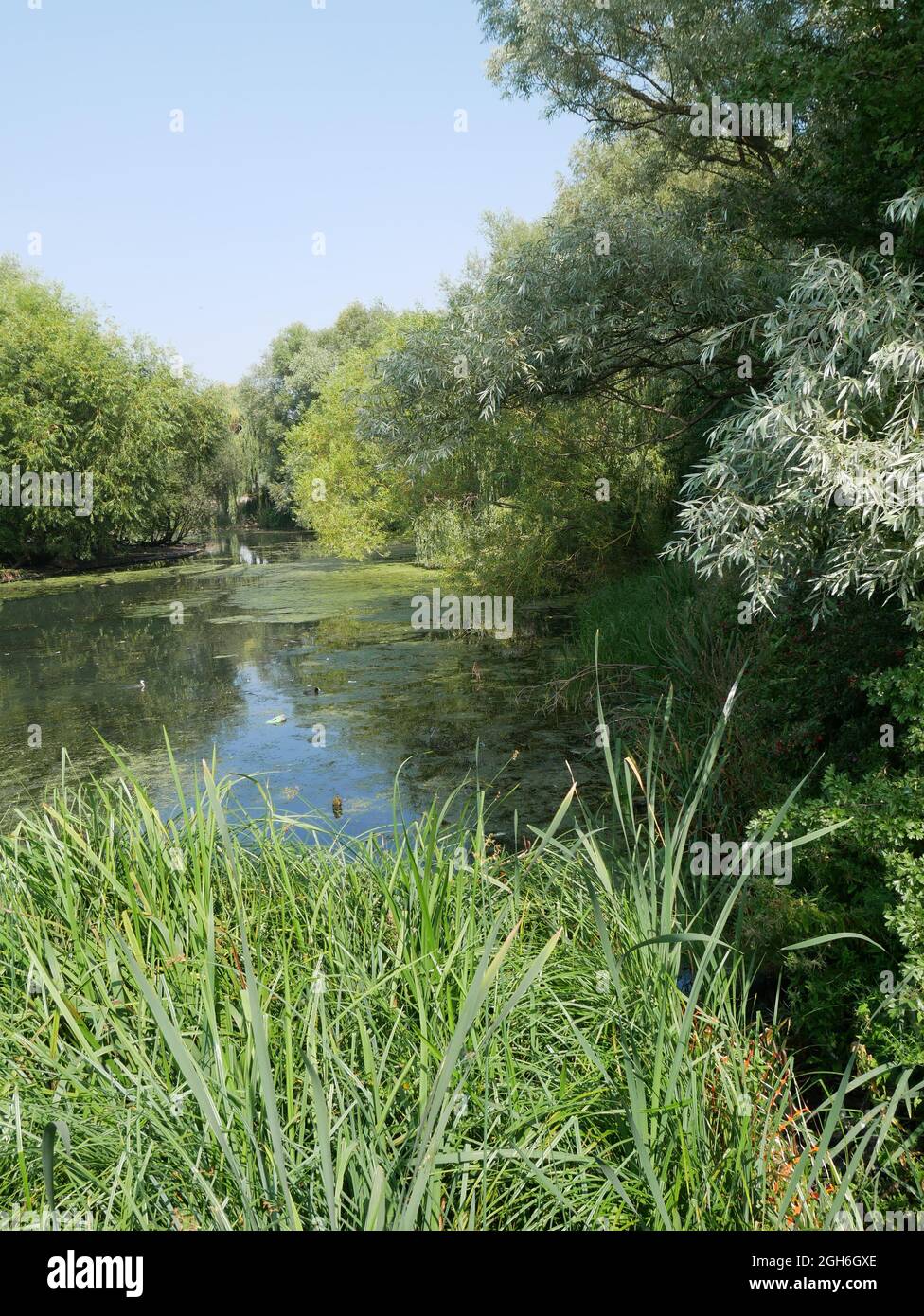 Lake at Thamesmead, London, England Stock Photo - Alamy
