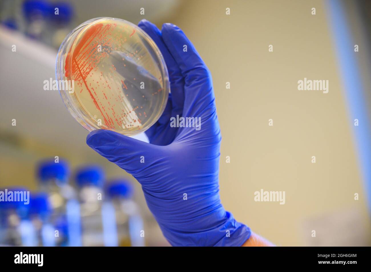 Experiment labor hi-res stock photography and images - Alamy