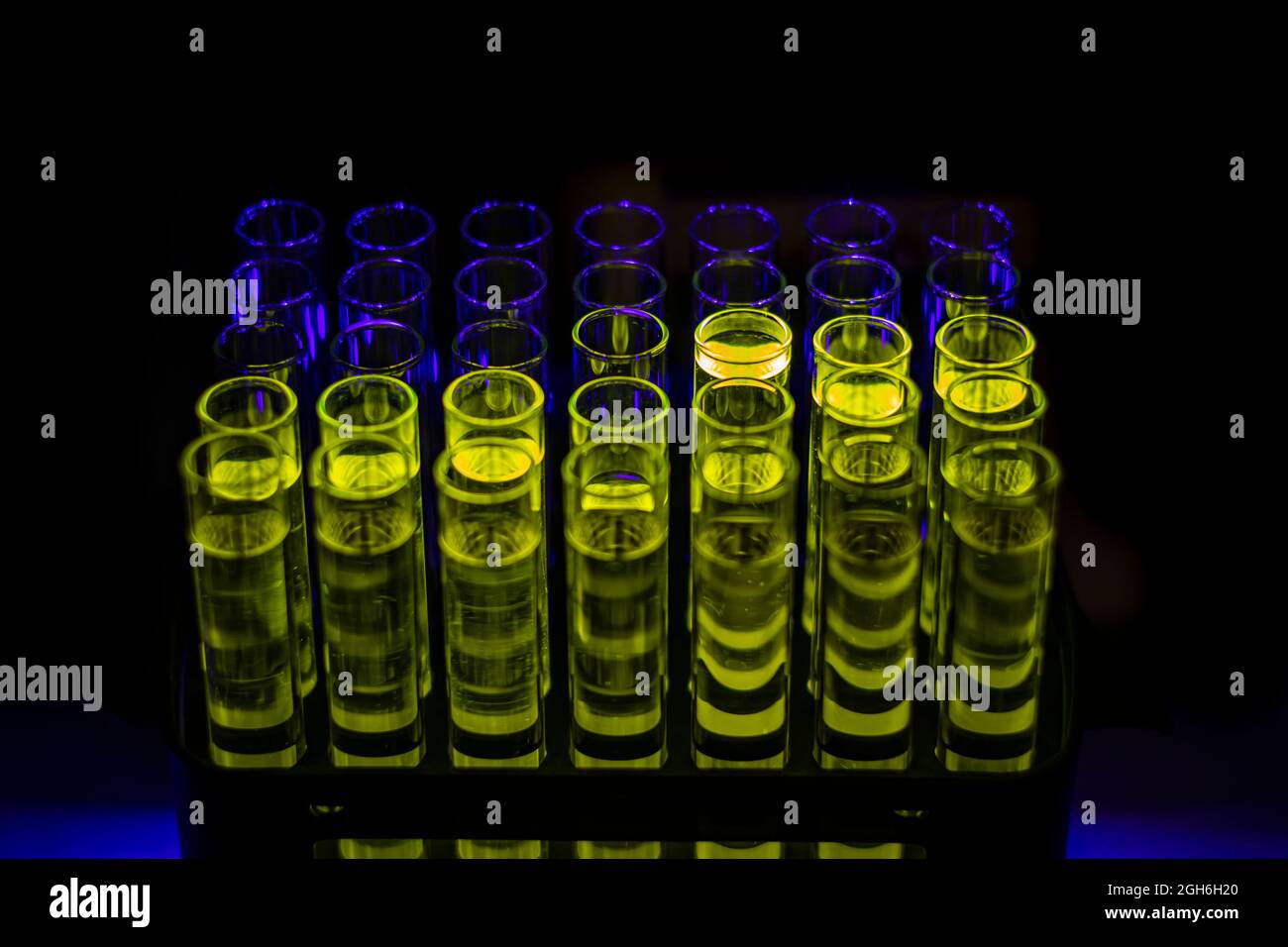 Glowing green compound solution collected from column chromatography in ...