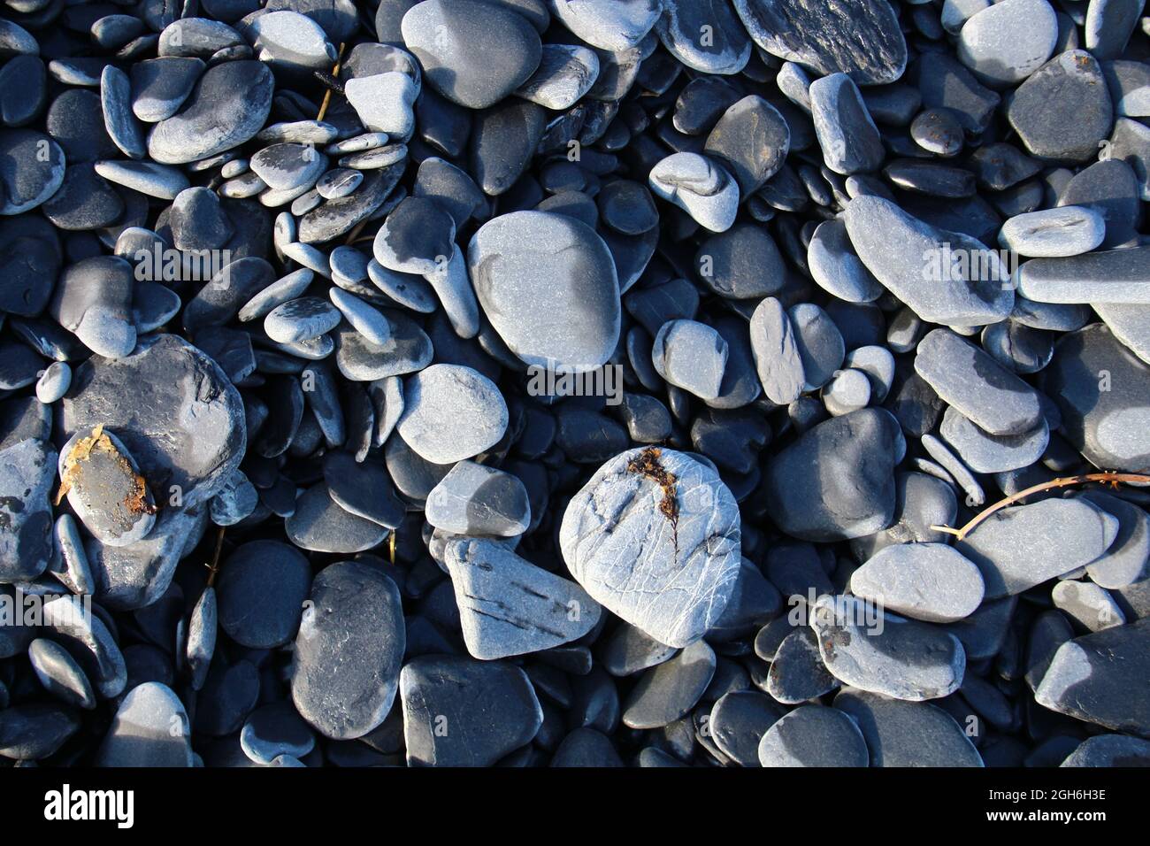 Stones on the beach Stock Photo - Alamy