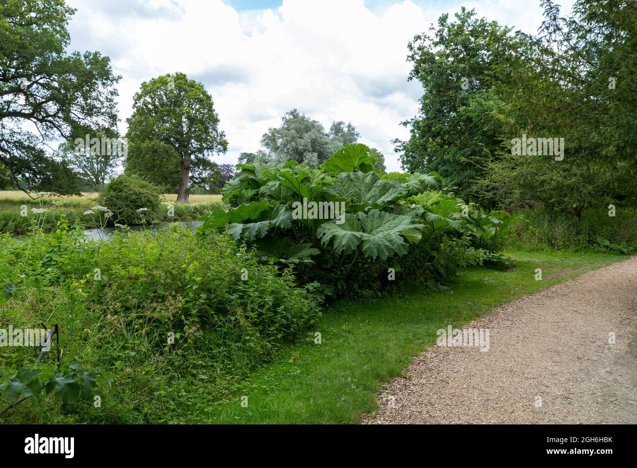 The Vyne, Tudor House Stock Photo - Alamy