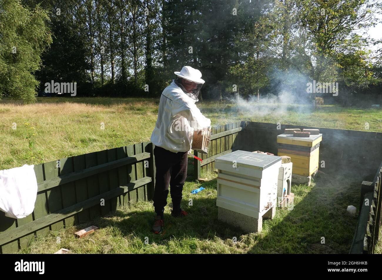 Stowmarket, Suffolk - 5 September 2021: Bee keeper at work maintaining ...