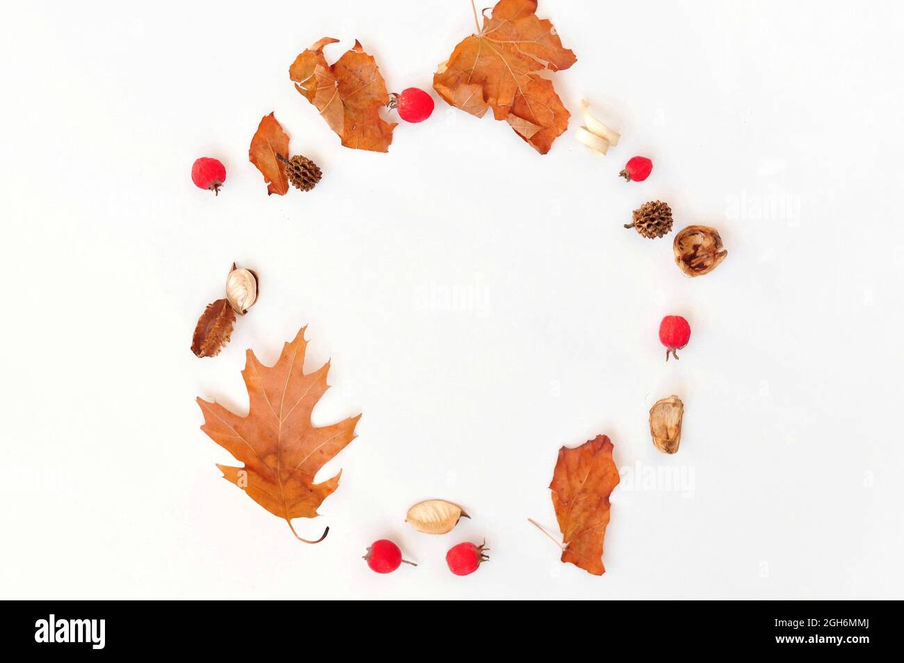 Off season fall foliage Cut Out Stock Images & Pictures - Alamy