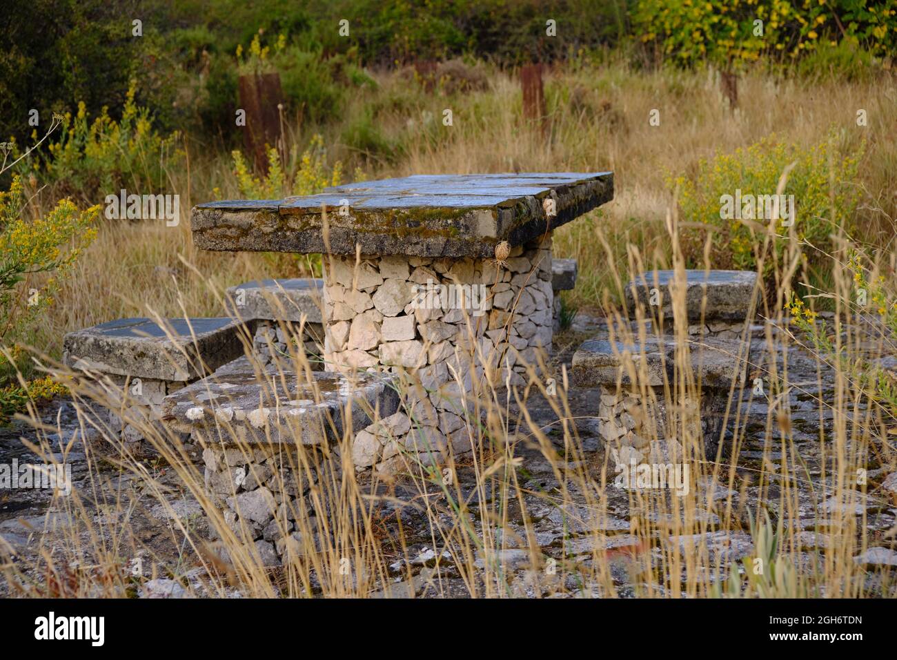 A stone table and seats in a forest Stock Photo - Alamy
