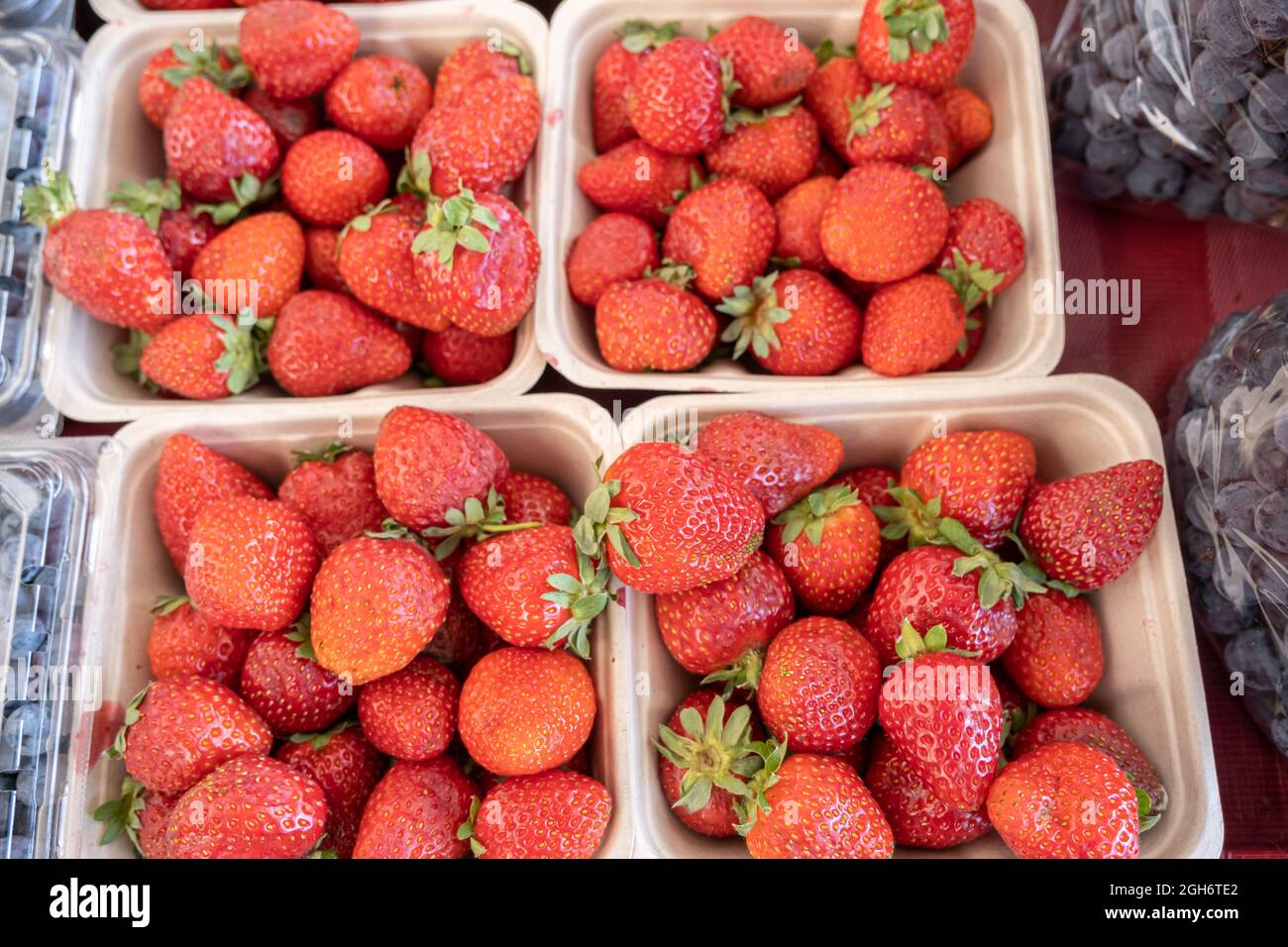 fresh organic strawberries on display at a farmers market Stock Photo ...
