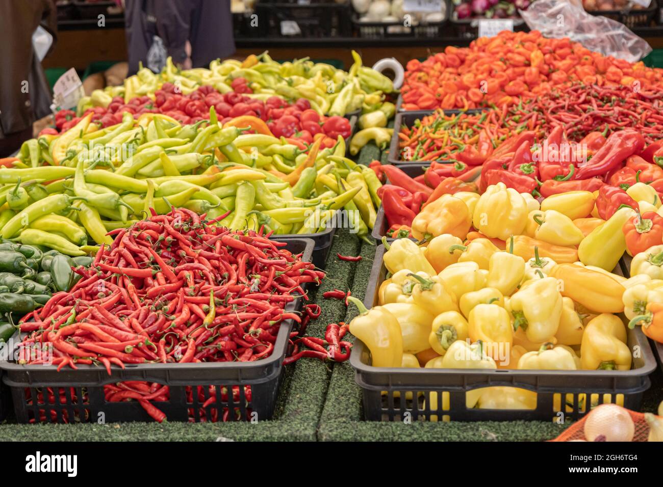 fresh organic Bell Peppers on display at a farmers market Stock Photo ...