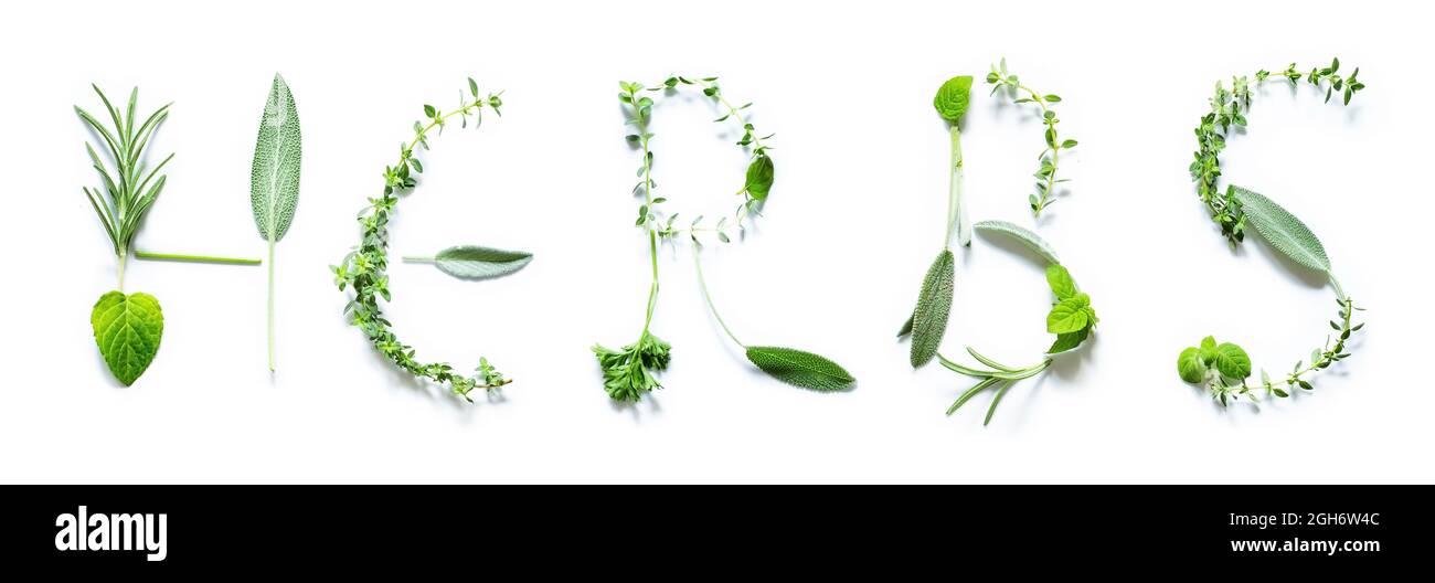 Herbs written of various herbs on white background Stock Photo - Alamy