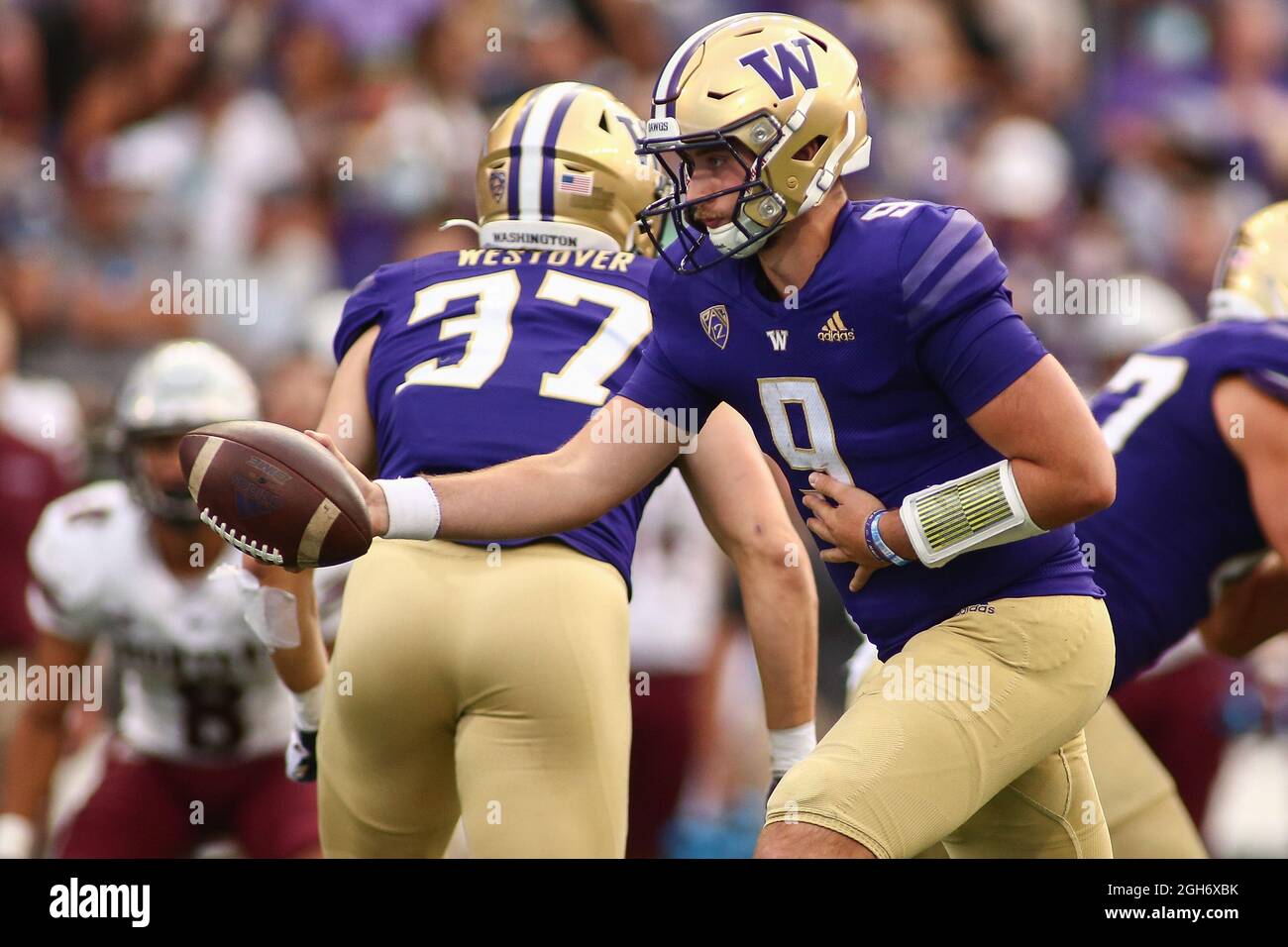 Seattle, WA, USA. 4th Sep, 2021. Washington Huskies quarterback Dylan ...