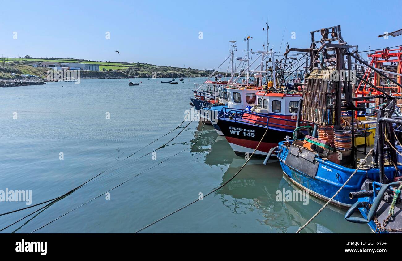 Cockle fishing hi-res stock photography and images - Alamy