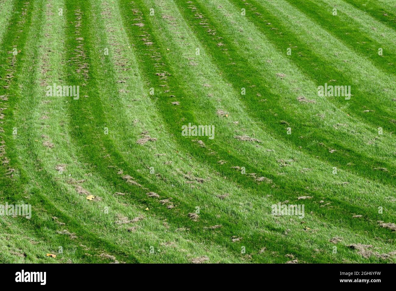 Lawn patterns hi-res stock photography and images - Alamy