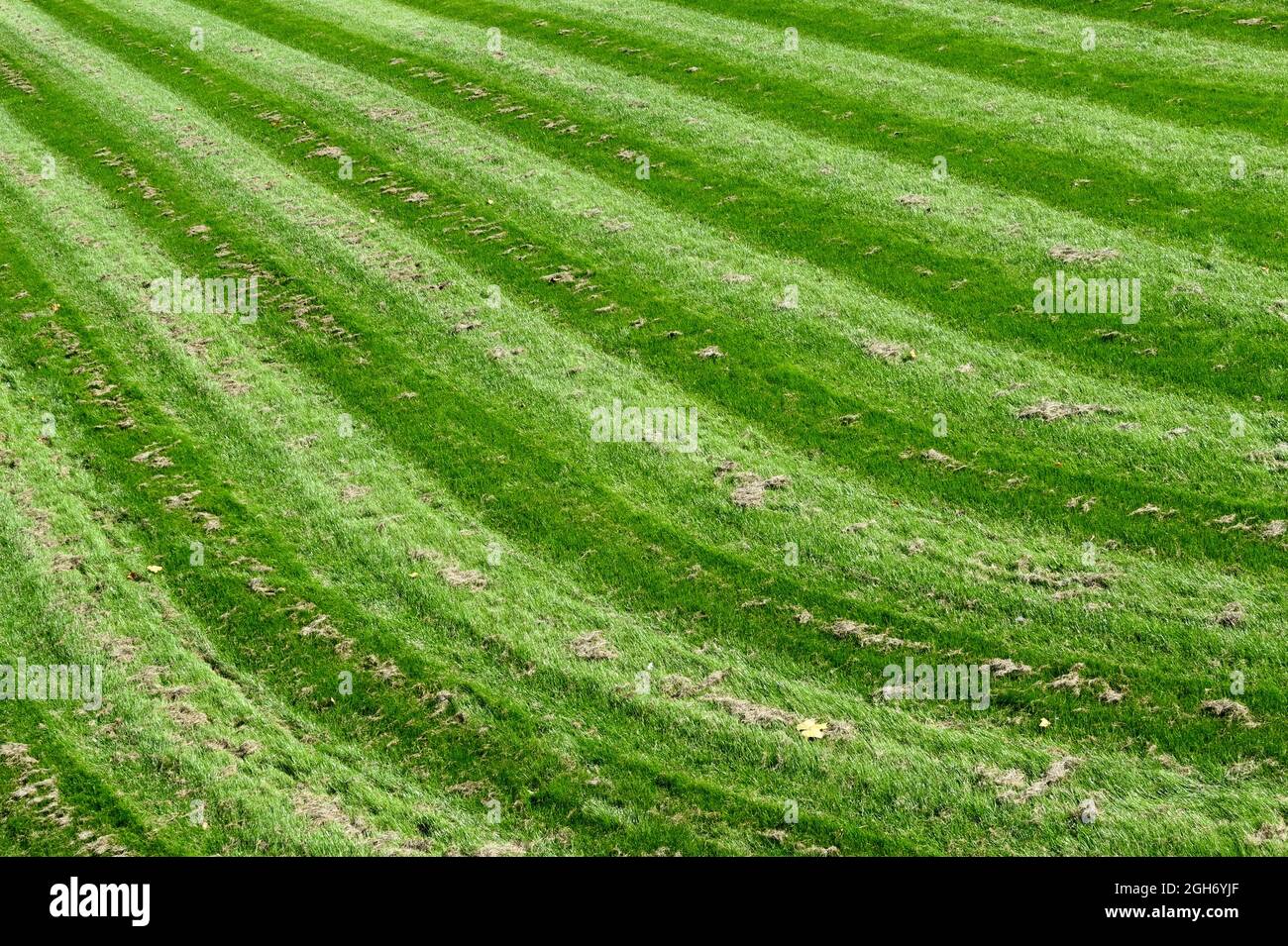 Lawn patterns hi-res stock photography and images - Alamy