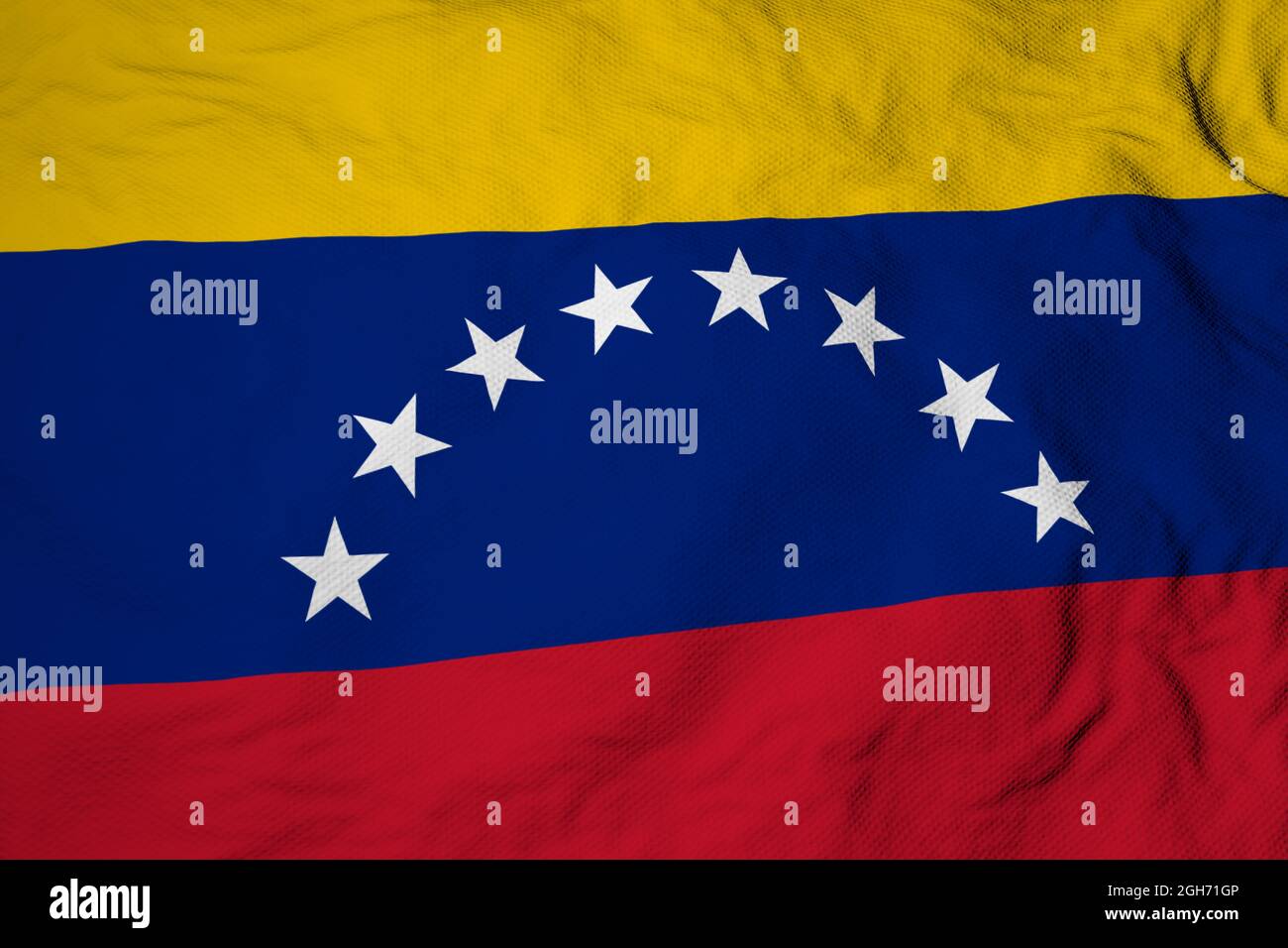 Official Venezuelan Flag