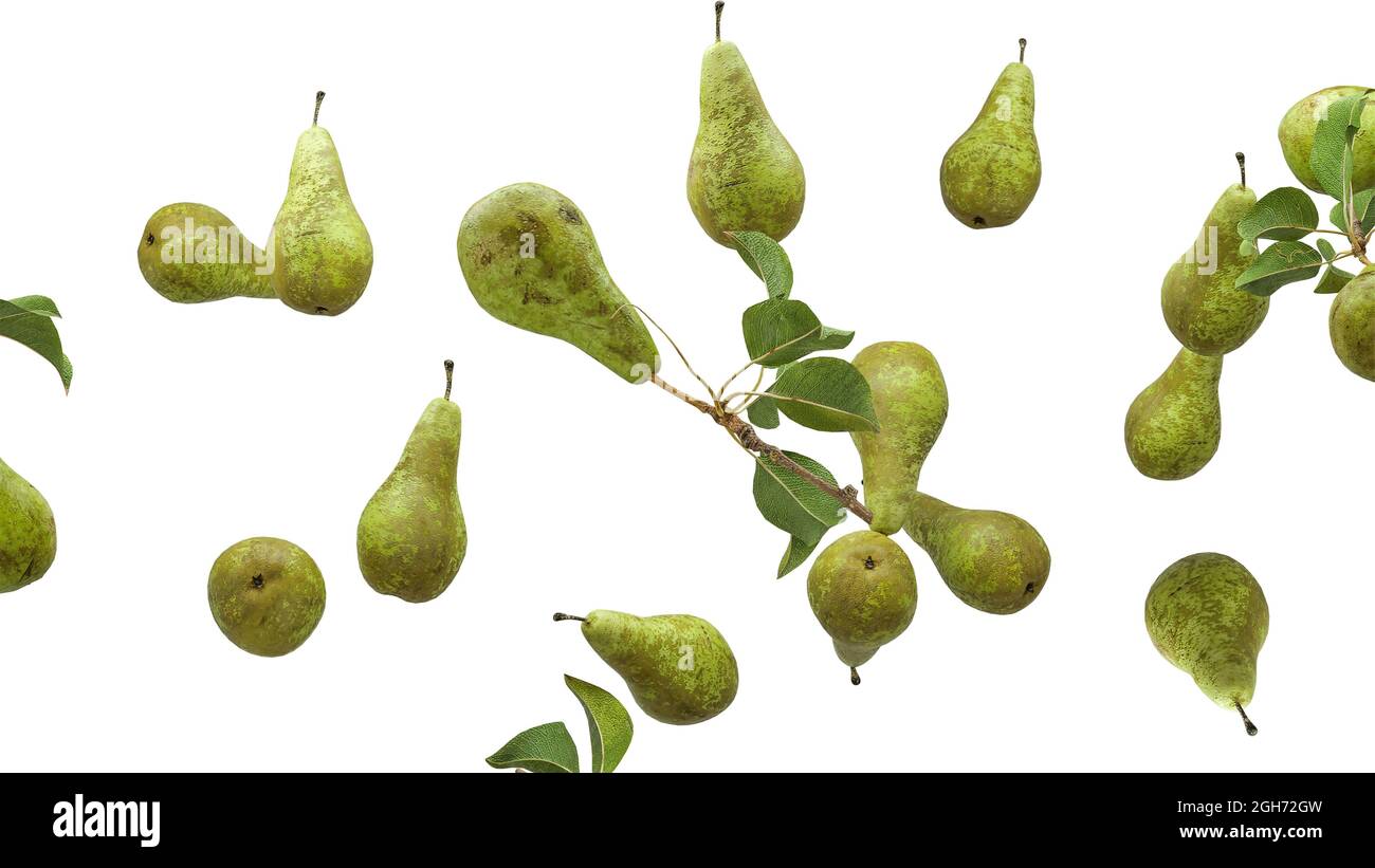 Pears are falling into space. isolated on white background Stock Photo ...