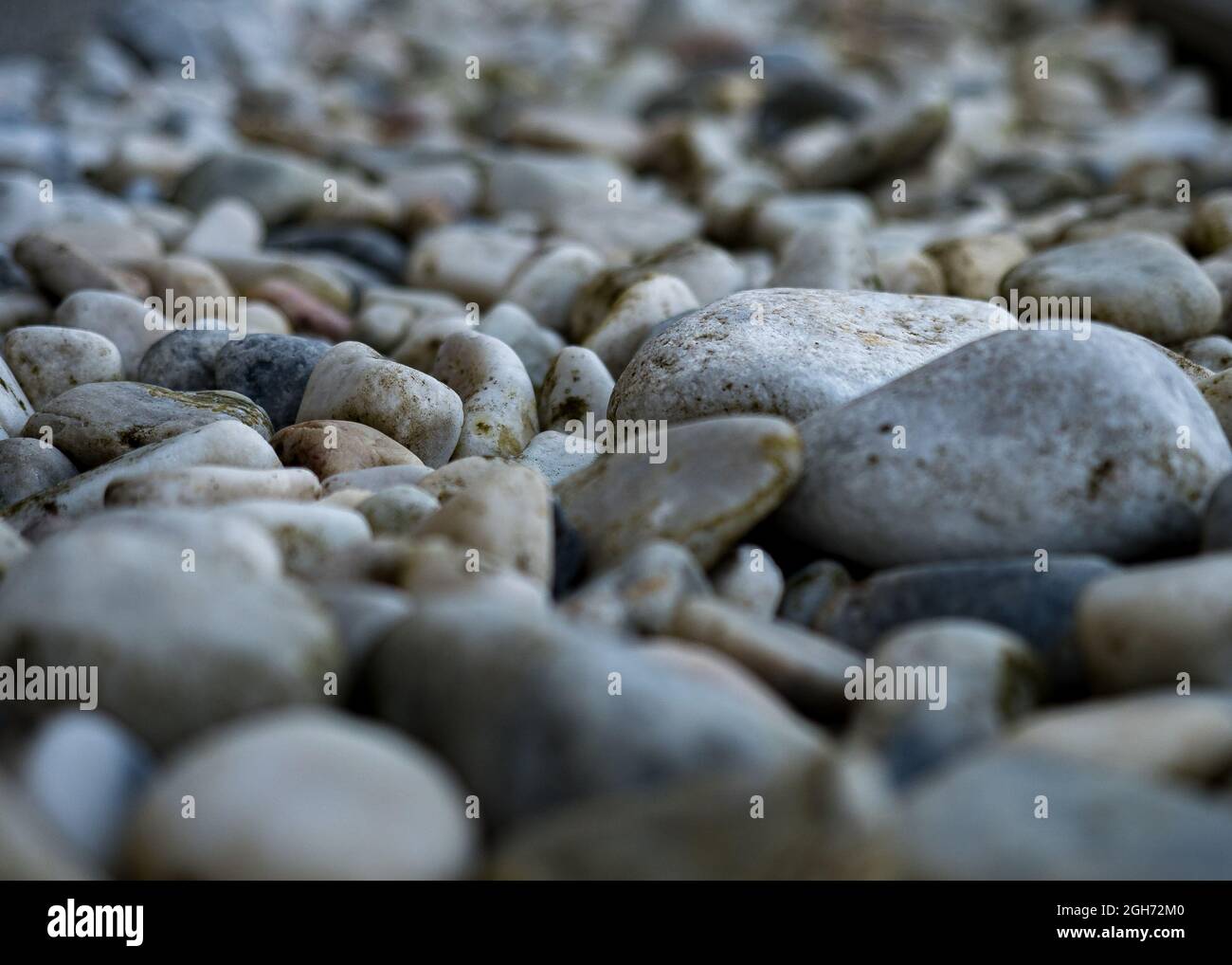 Grey pebbles hi-res stock photography and images - Alamy