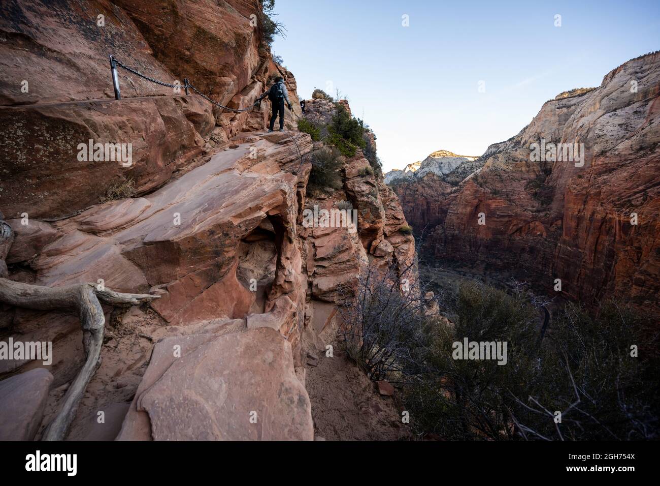 Hiker Climbs Up Ledge Along Angels Landing Trail Stock Photo - Alamy