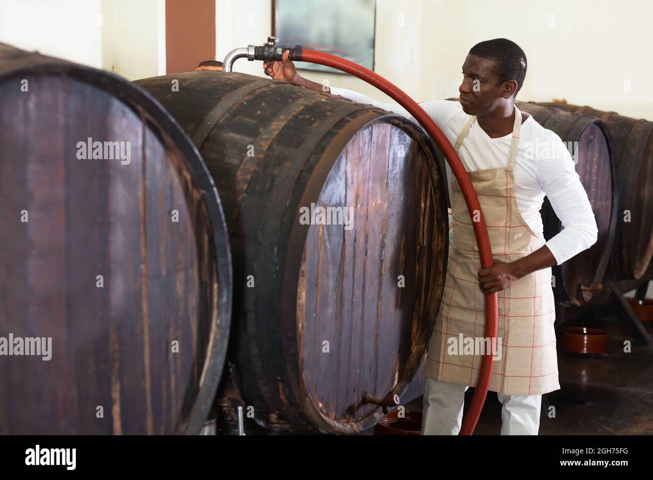 Wine producer controlling production wine in winery, preparing for wine ...