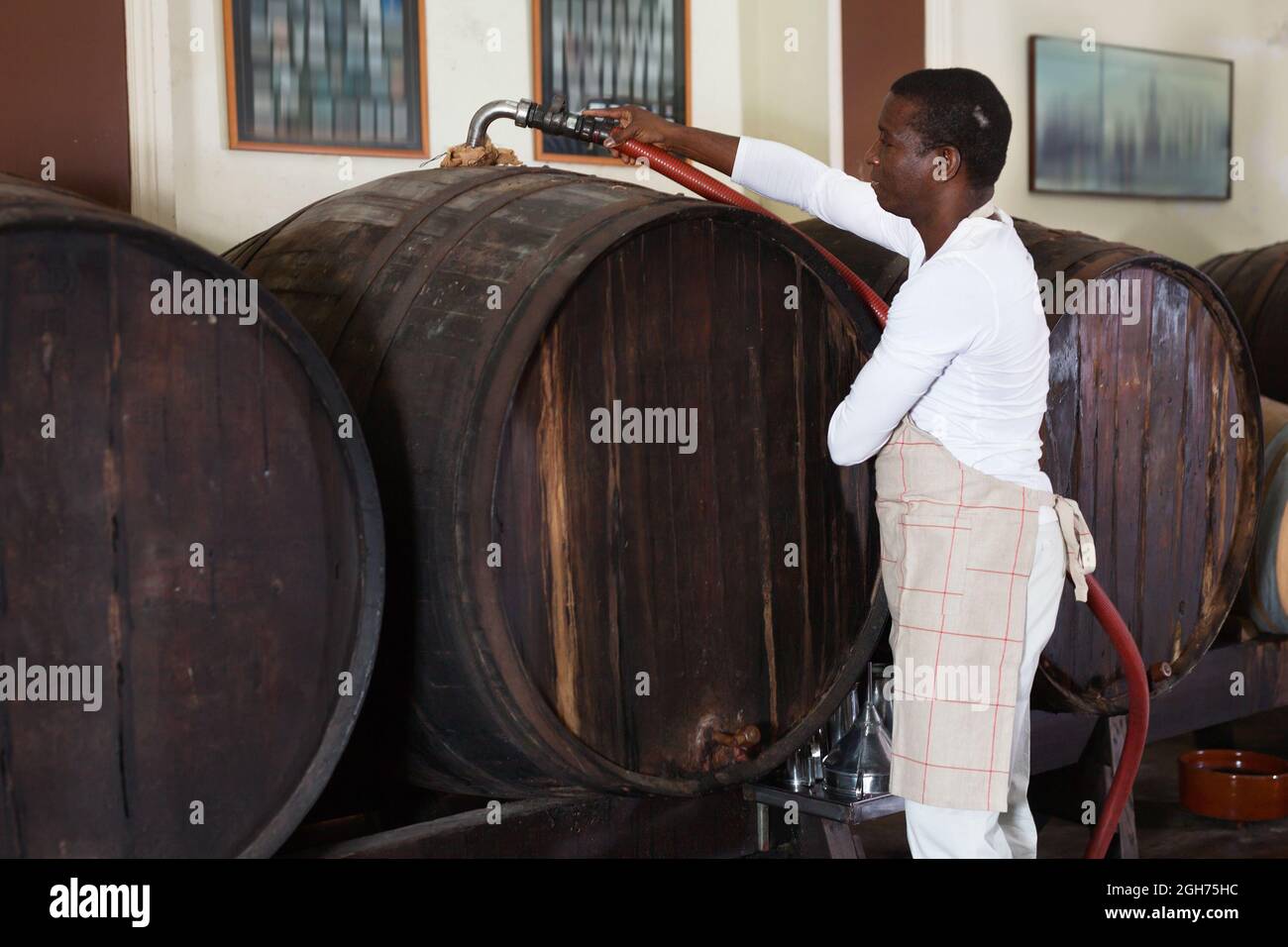 Wine producer controlling production wine in winery, preparing for wine ...