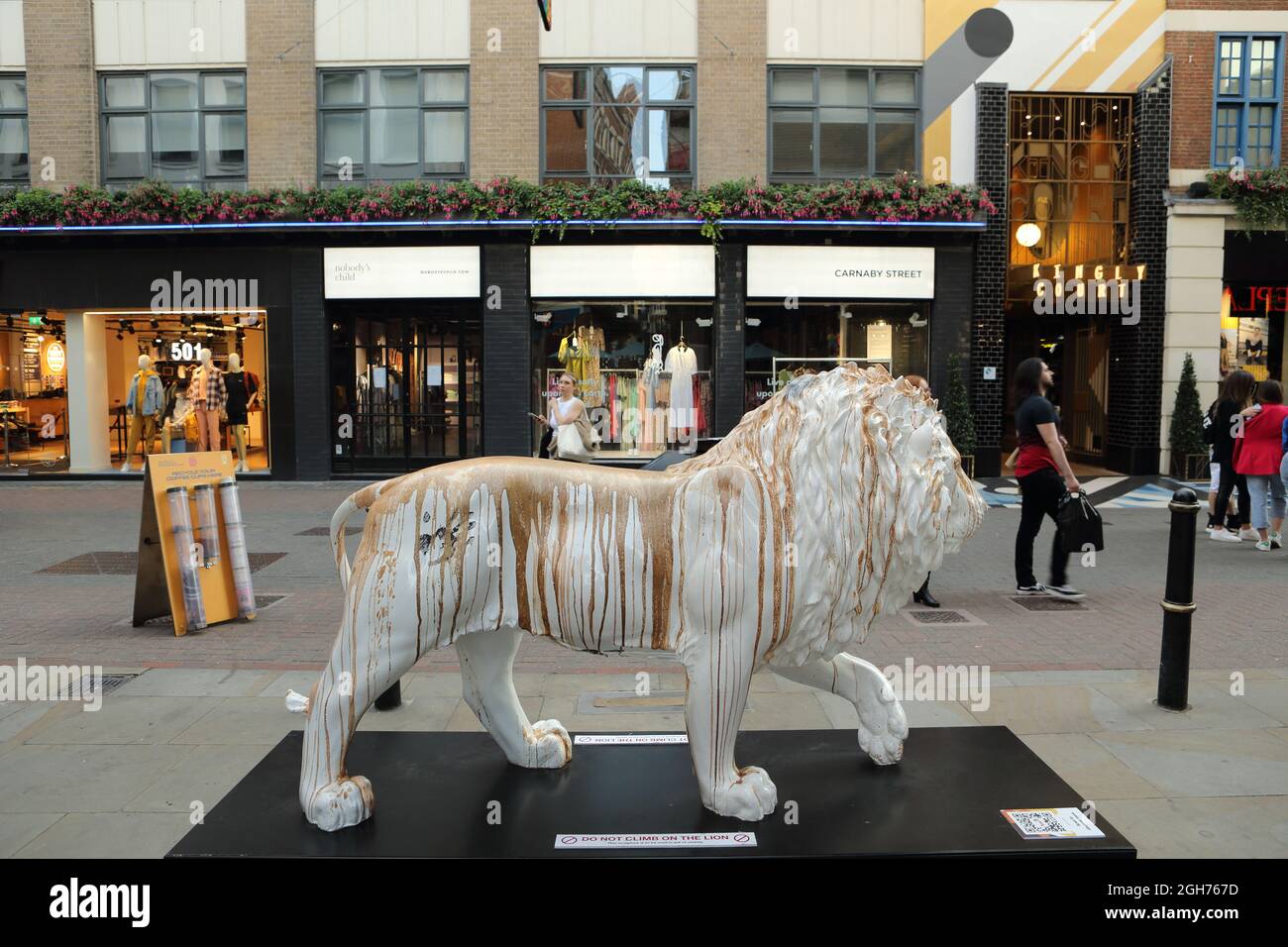 Tusk Lion Trail Stock Photo - Alamy