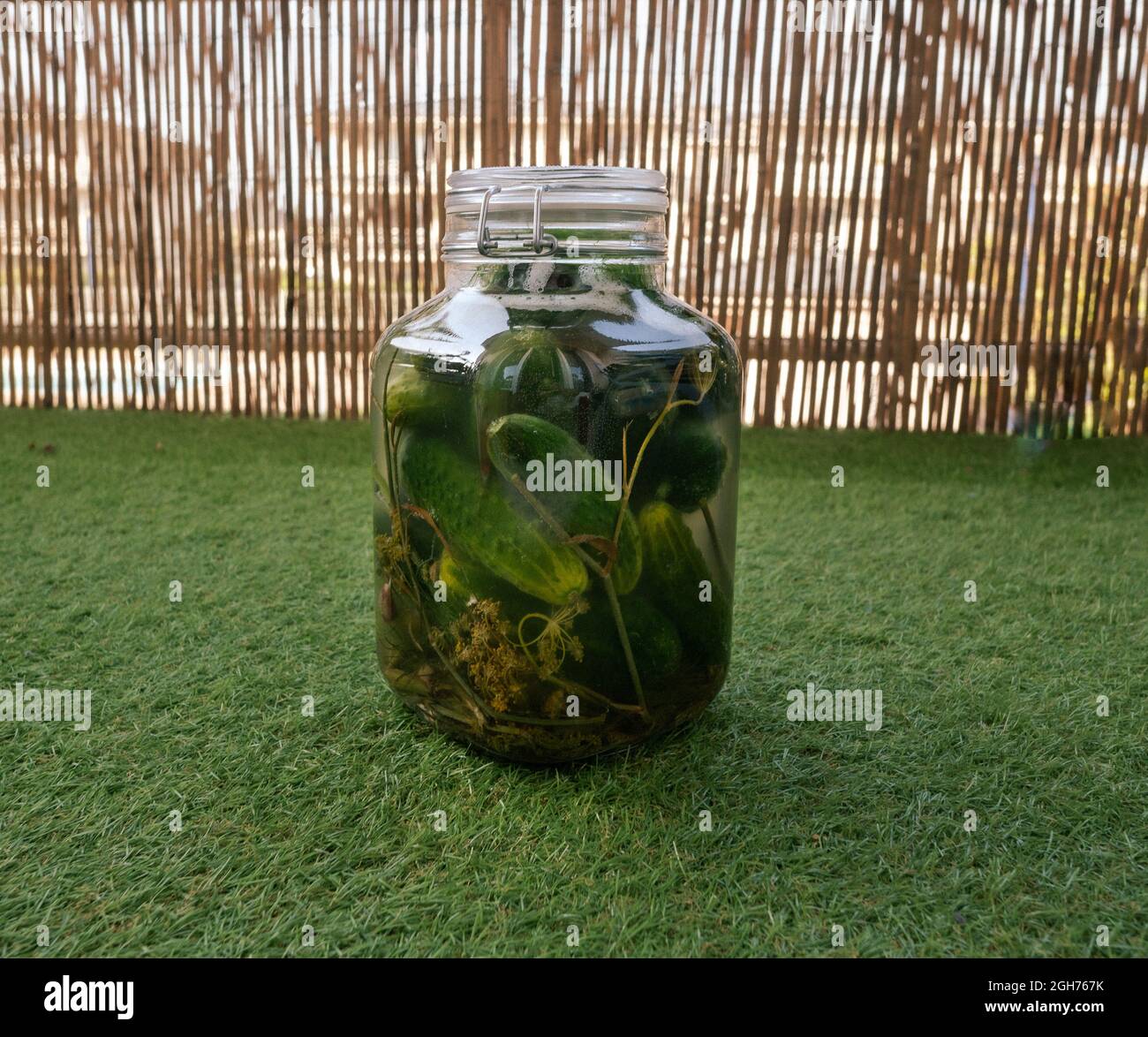 Pickle grass hi-res stock photography and images - Alamy