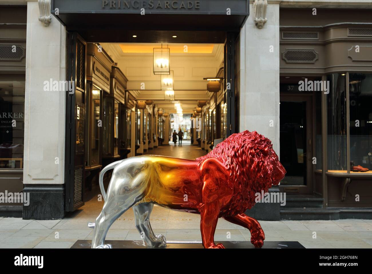 Tusk Lion Trail Stock Photo - Alamy
