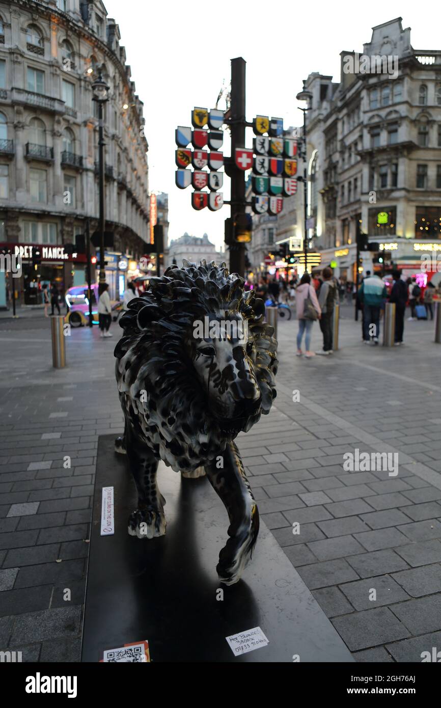 Tusk Lion Trail Stock Photo - Alamy