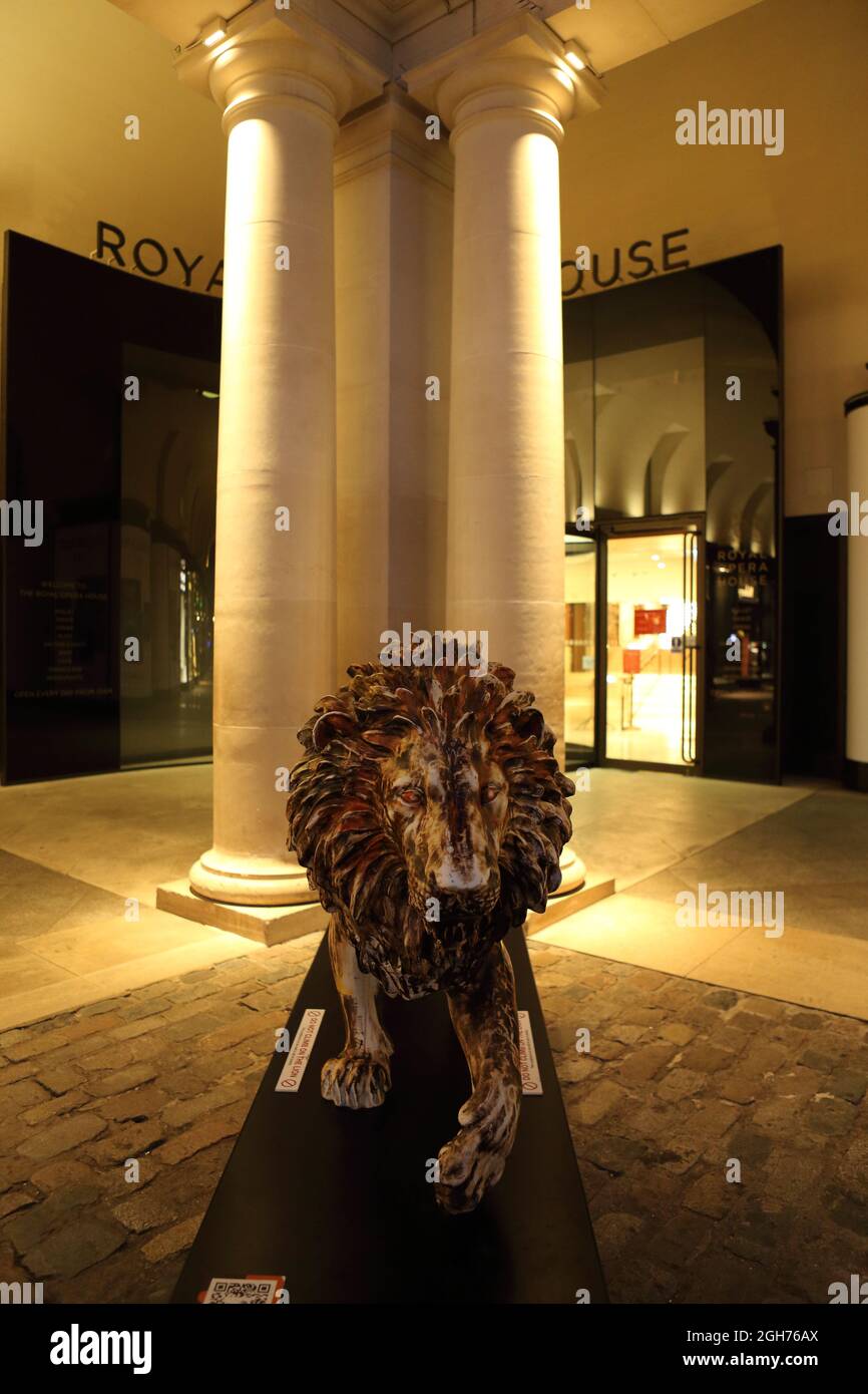 Tusk Lion Trail Stock Photo - Alamy