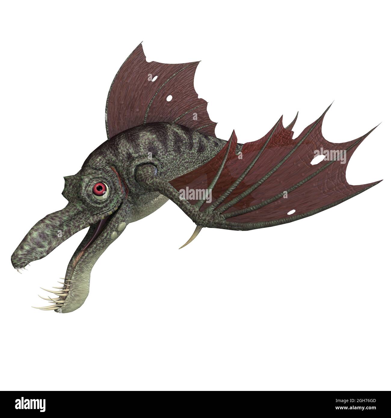 Extinct fish clipart hi-res stock photography and images - Alamy