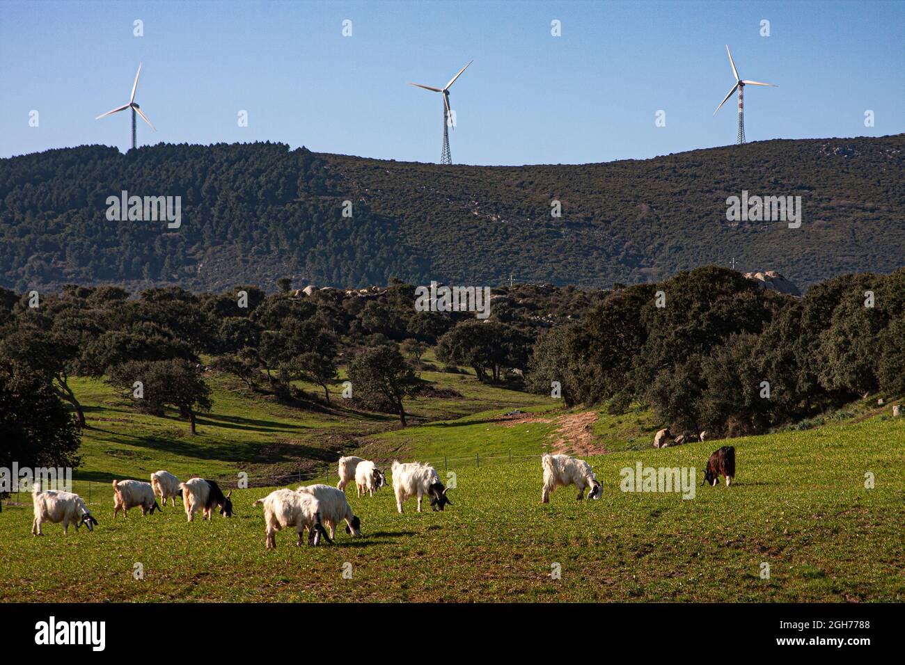 This the Valle della Lune, Valley of the Moon, in northwestern Sardinia ...