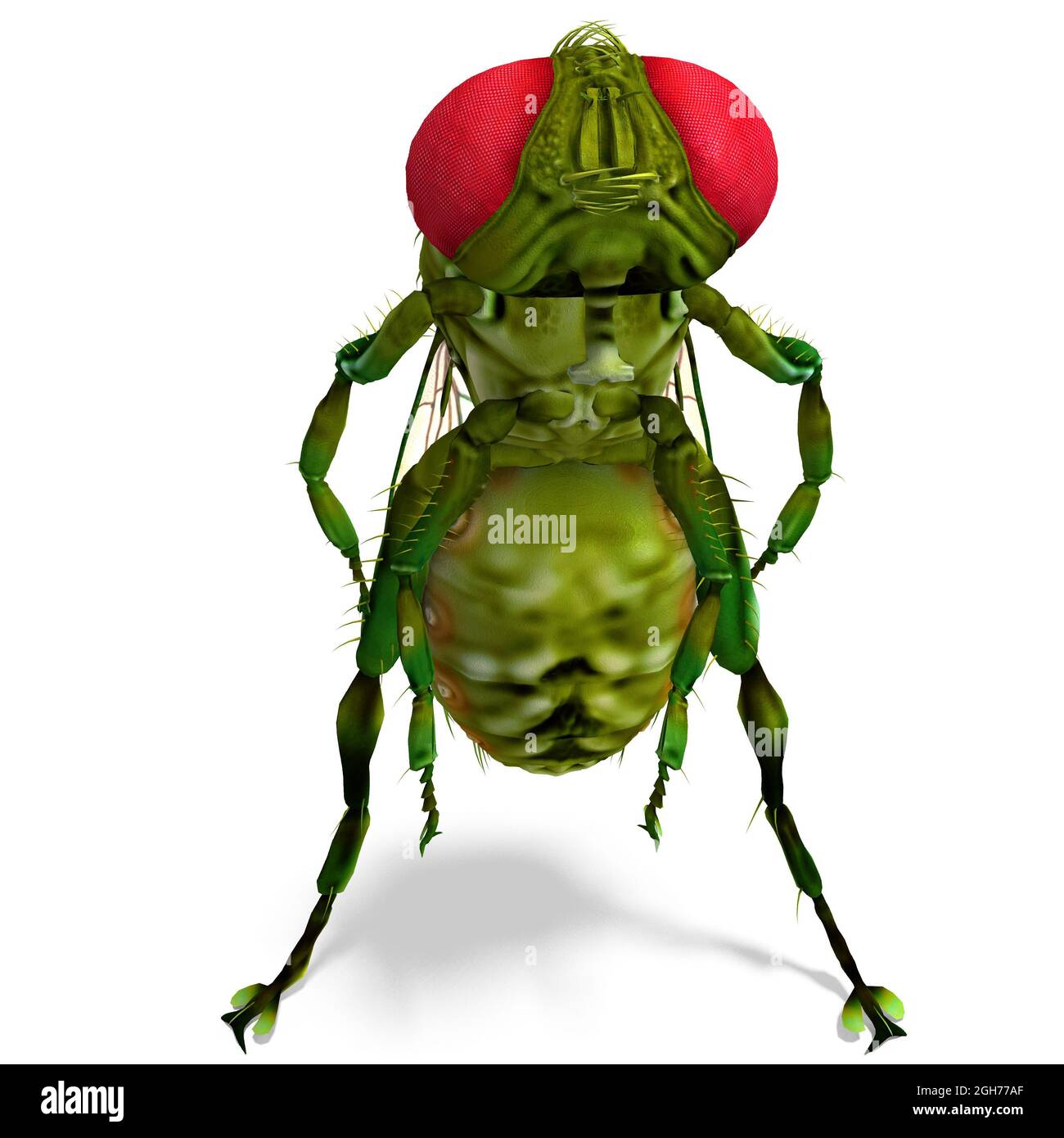 3d-illustration of an isolated huge and scary yellow fly Stock Photo ...